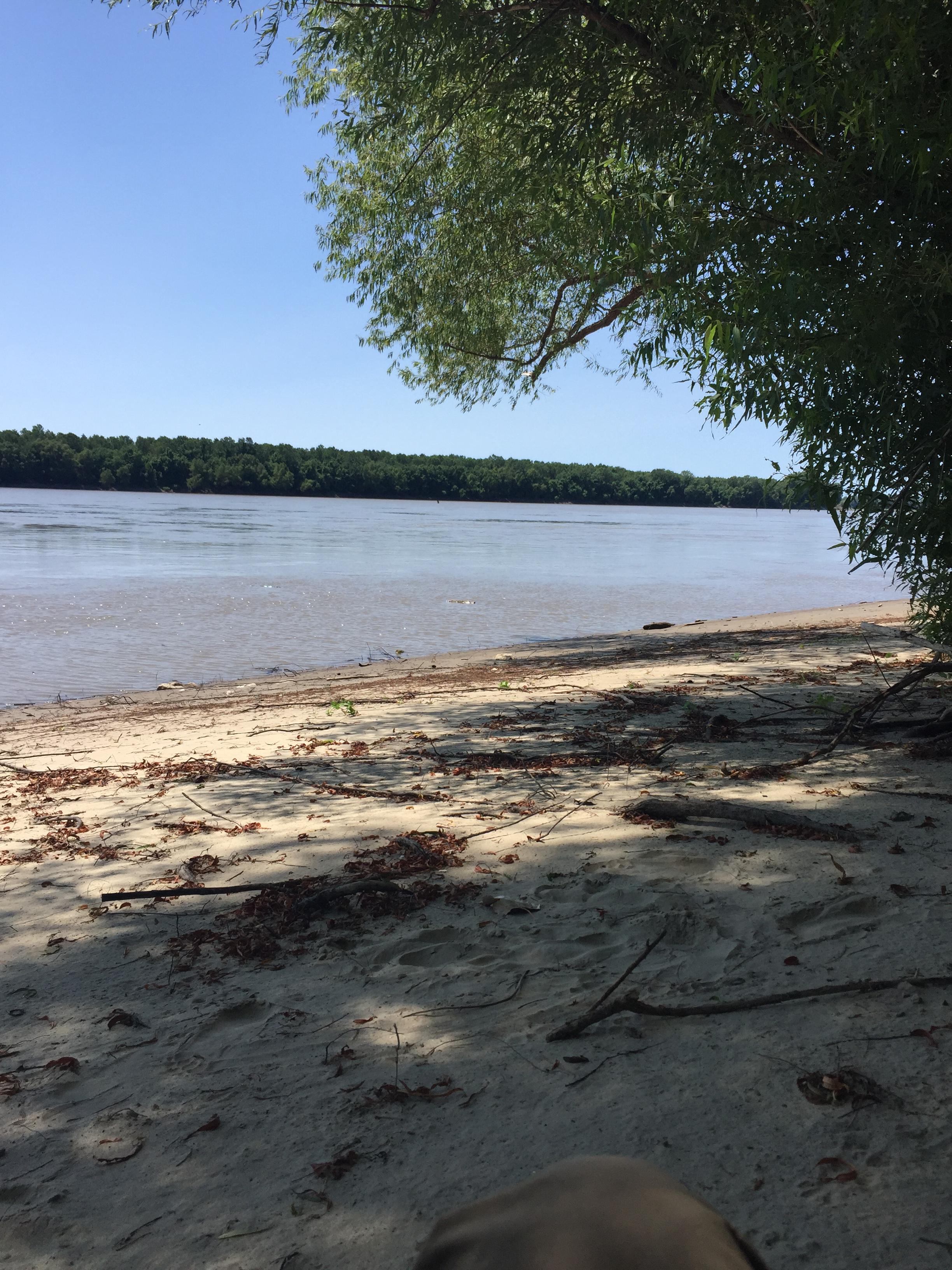 Weekly River Recap (Week 7)